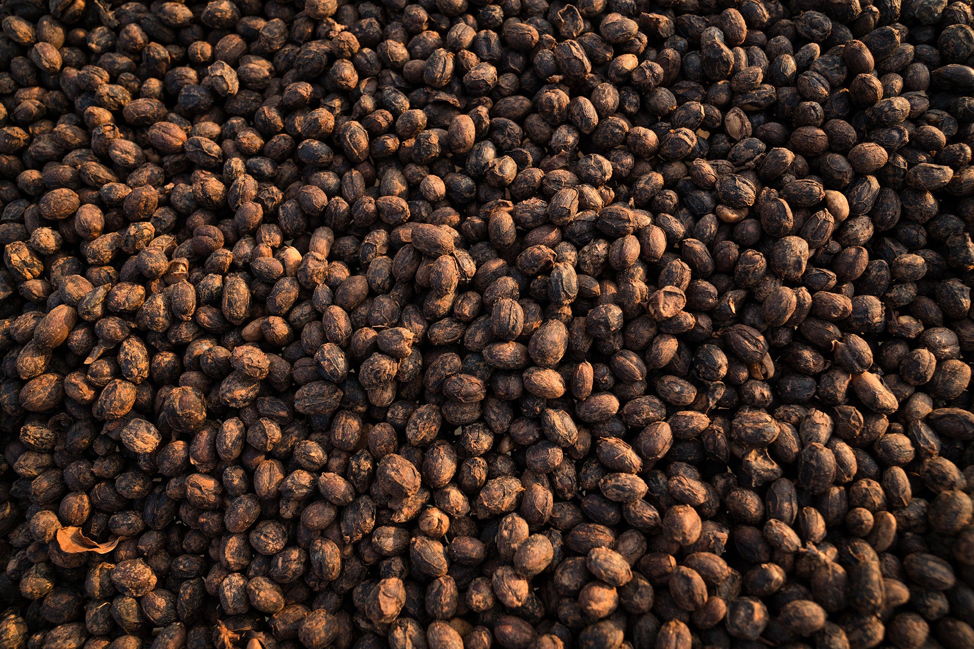 Jose Alfredo Rojas – equation-coffee