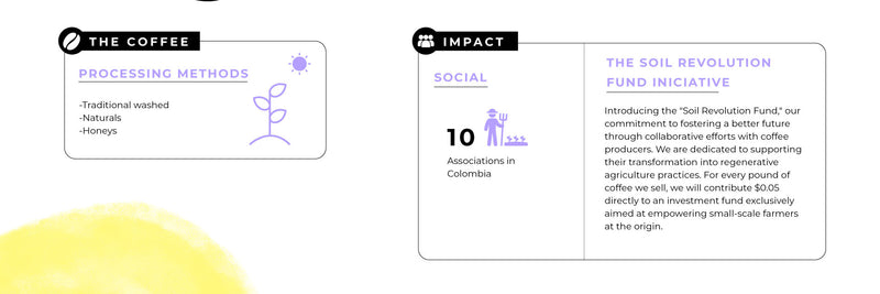 OUR COFFEES – equation-coffee